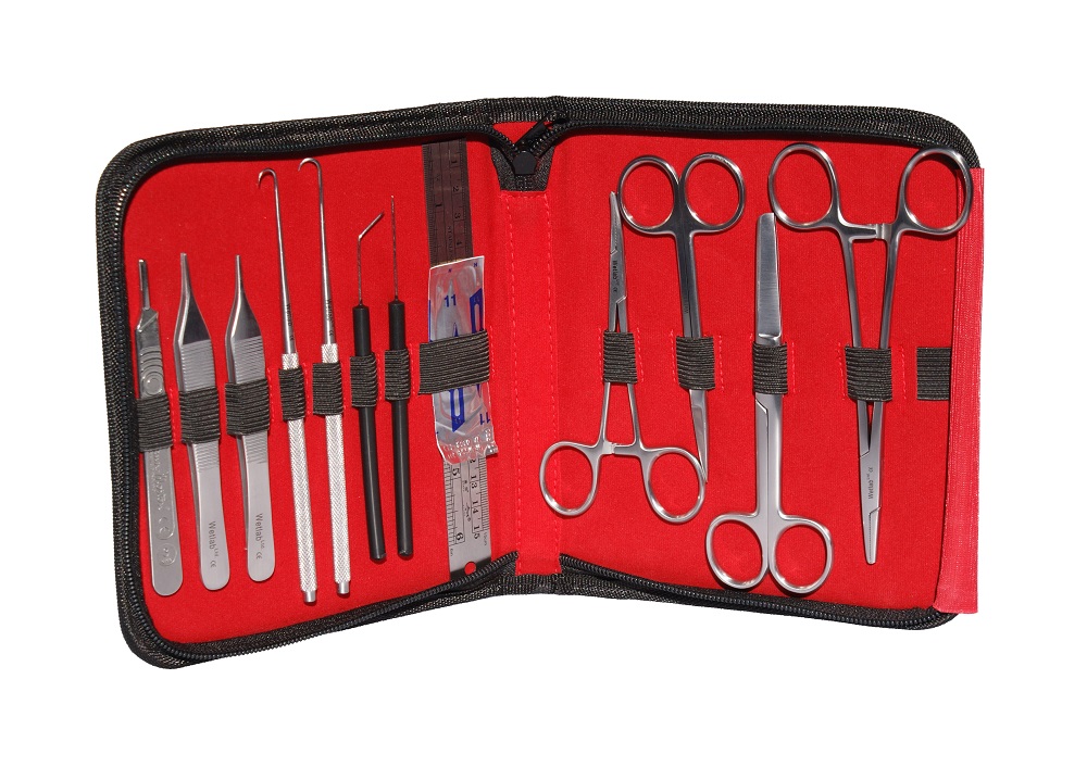 Oldberg Laminectomy Rongeur 1mm 7" Surgical Instruments Professionele ...