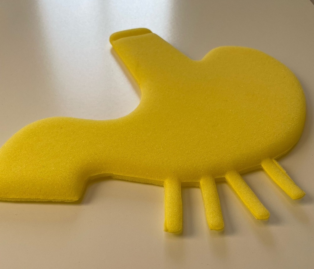 Foam anatomy model - Wetlab - Knowledge With Experience